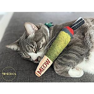 TOYGENICS - Doobie Catnip Toys for Indoor Cats w/Crinkly, Durable Material & Interactive String Ends for Cat Enrichment & Cat Teeth Cleaning, The Best-Kitten Toys-Cat Toys-Catnip Toy