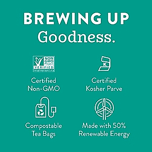 Stash Tea Premium Green Tea, Box of 100 Tea Bags