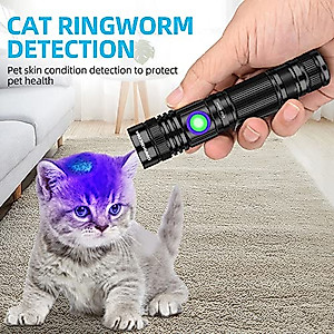 DARKBEAM UV Flashlight 365nm & 395nm Blacklight Rechargeable USB, Wood’s Lamp Ultraviolet Black Light LED Portable with Clip - Detector for Pet Cat Urine, Stains, Resin Curing, Uranium Glass, 2 Pack