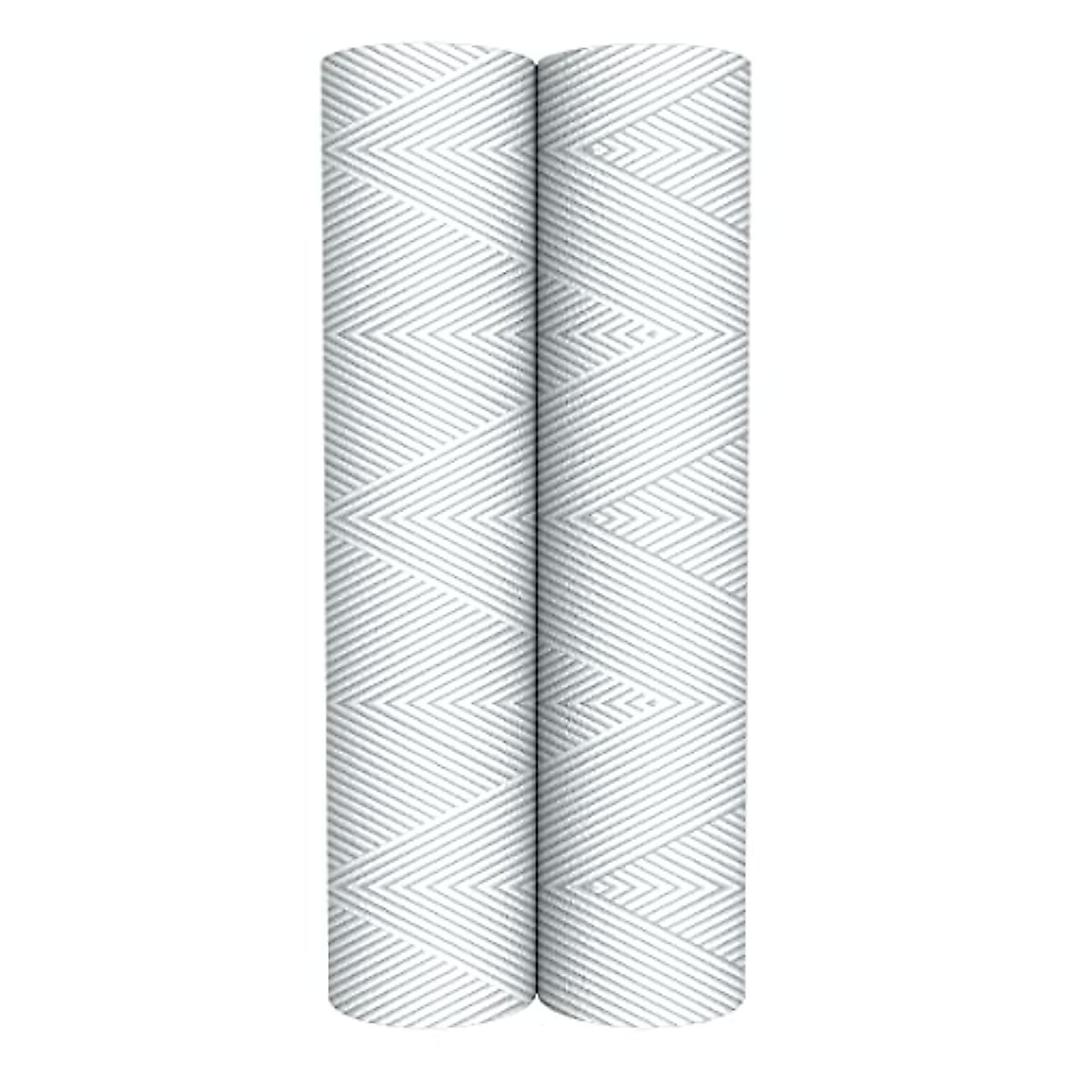 CFS COMPLETE FILTRATION SERVICES EST.2006 Compatible for OmniFilter Model RS2-DS 2 Pack String Wound Filters Whole House Water Filter Cartridges