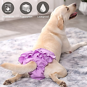 Dog Sanitary Panties Pet Panties for Girl Dogs Menstrual Period, Washable & Reusable Female Dog Diapers Pet Princess Dress for Dogs in Heat, Incontinence or Excitable Urination (XX-Large, Purple)