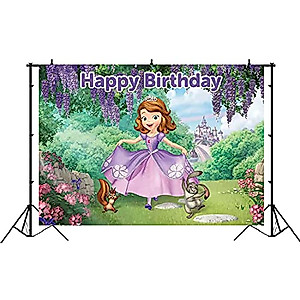 Dawei Sofia The First Backdrop | Birthday Party Background Supplies | Banner Decorations | Photography Background | Baby Shower | (5X3ft)