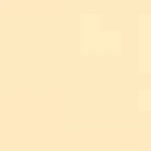 Orange Color Correction Gel Filter Sheet 16x20 inches 4 Pieces 1/8 CTO Photography Lighting gels for Photo Studio Flashlight Led Light