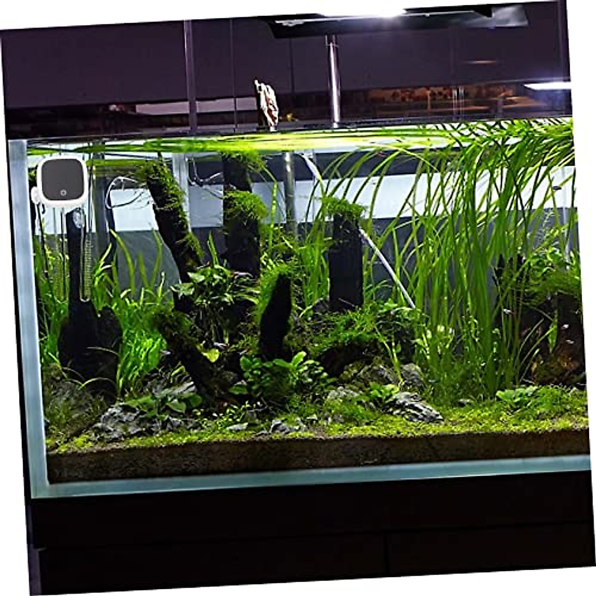 Amosfun 3pcs Fish Tank Thermometer Abs Turtle Container White