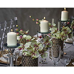 BOLSIUS Set of 12 Ivory Pillar Candles - 2.25-x3-inch Unscented Candle Set - Dripless Clean Burning Smokeless Dinner Candle - Perfect for Wedding Candles, Parties and Special Occasions