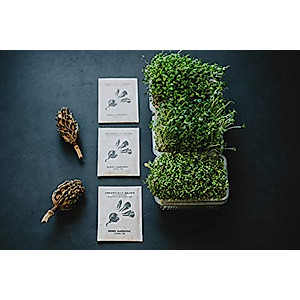Self-Watering Microgreens Growing Kit - 3 Micro Greens from Organic Non-GMO Seeds - Window Garden or Counter Top - 3 Biodegradable Bamboo Seed Sprouting Pads + Microgreen Tray + Grow Guide
