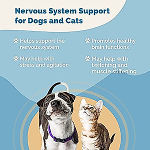 Nervous System Support for Dogs and Cats (Formerly S-Support) Naturally Relieves Seizures in Dogs and Cats | Herbal Formula Safely Aids in Reducing Anxiety, Seizures, and Helps Support Nervous System