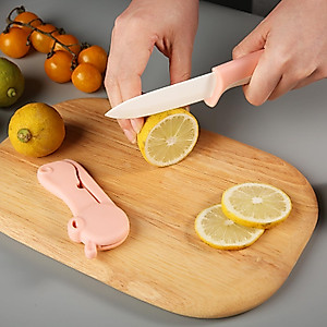 YSTKC Ceramic Fruit Knife 4 Inch Ceramic Knife Kitchen Pink Ceramic Knife Sharp Ceramic Paring Knife with Handle for Mother's Day Father's Day Christmas Wedding Gifts Birthday Gifts Thanksgiving