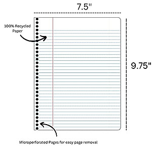 Decomposition Kittens in Space College Ruled Spiral Notebook - 9.75 x 7.5 Journal with 160 Lined Pages - 100% Recycled Paper - Cute Notebooks for School Supplies, Home & Office - Made in USA