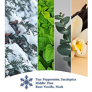 CHAMBERY Winter Wonderland Candle | Inspired by The Rocky Mountains in Premium Tin | Soy Wax with Lead-Free Cotton Wick | 55-Hour Burn | Festive Fragrance for The Season