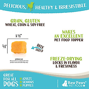 Raw Paws Freeze Dried Cheddar Cheese Treats for Dogs, 3-oz - Crunchy Dog Cheese Puffs Made in USA, Natural Dried Cheese for Dogs - 100% Real Wisconsin Cheddar Cheese Bites for Dogs - Dog Cheese Treats