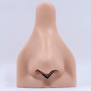 FANSING 16g 7mm Septum Ring for Women 316L Surgical Steel Septum Clicker Hypoallergenic Septum Jewelry 16 Gauge Triangle Piercing Clicker