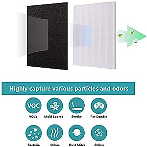 115115 Size 21 Filter A Compatible with Winix PlasmaWave Air Purifier C535, 5300, 5300-2, 6300, 6300-2, AM90, P300, True HEPA Filter with 4 Activated Carbon Filters