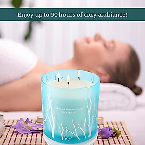 Vanilla Pine Apple Orchard Winter Candle - Natural Soy Pine Scented Candle 3 Wick - Christmas Fir Tree Holiday Scented Candle for Home 14.5 Oz - Large Relaxing Vanilla Candle Gift for Women & Men