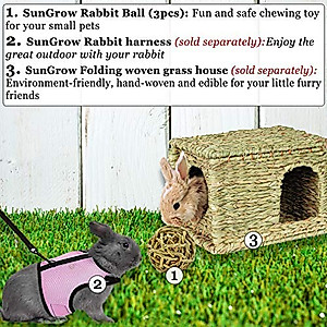 SunGrow 3 Pack Assorted Rabbit & Cat Chew Balls, Made from Seagrass, Chewable Teething Activity Toy for Pocket Pets, Healthy for Your Pet’s Gums & Teeth