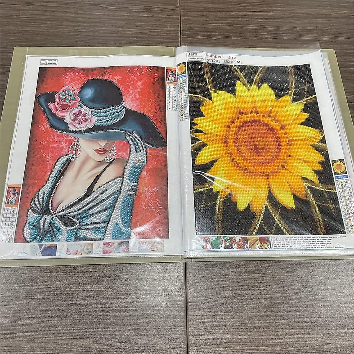 A3 30 Pags Diamond Painting Storage Book, Painting Storage Book 30 Clear Pockets Sleeves Protectors Art Portfolio Book, Display Book, Clear View A3 Document Folder for Painting Presentation (Blue)