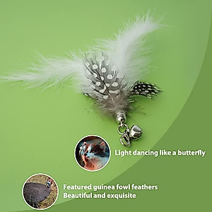 FUPUSUN 2022 Latest Cat Feather Toys, Interactive Cat Toys Kitten Toys, 1PCS Elasticity Cat Wand Toy and 3PCS Teaser Refills Tail Bird Feathers, Cat Toys for Indoor Cats Kitten Play Chase Exercise