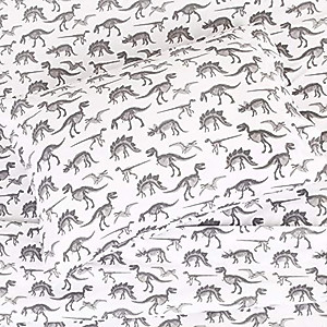 Kids Rule 4-Piece Dinosaur X-ray Sheet Set for Boys & Kids - 1 Full Flat Sheet, 1 Full Fitted Sheet & 2 Queen Pillowcases, Soft Brushed Microfiber Polyester Bed Sheet, Smooth & Durable