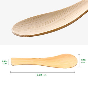 Bamboo Spoons -200 Count Disposable Spoons 5.51" Heavy Duty, Heat Resistant, Compostable Spoons for Eating 100% Biodegradable Renewable Cutlery Bulk for Parties/Picnics/Big Event/Daily Use/Travel