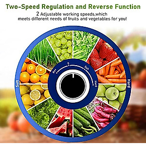 Cold Press Juicer, FEZEN Slow Masticating Juicer With 2 Speeds & Reverse Control, High Juice Yield & Pure Taste, Celery Juice Maker & Beetroot Juice Extractor for High Nutrient Fruits and Vegetables Juice, Easy to Clean, BPA Free