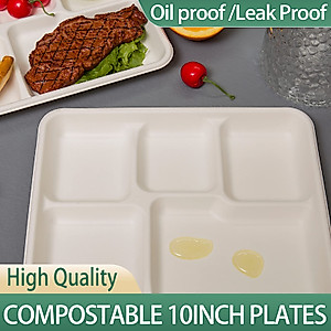 emlifepak Small and Shallow 10.25 * 8.25inch 5 Compartment Plates 125pack, Disposable 5 Section eco friendly Sugarcane Divided Plates,School Lunch Tray And Disposable Plates With Compartment