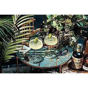 Vintage Flamingo Belle Coupe Glasses for Cocktails and Champagne | Tropical Chic Glassware Collection | Set of 4 | 12 oz Crystal Retro Style Stemmed Saucers for Elegant Bar Drinks