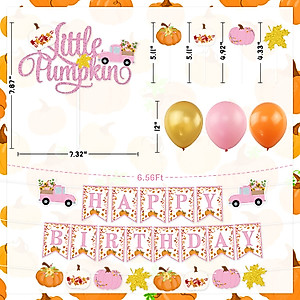 Pink Fall Pumpkin Birthday Party Decorations, Little Pumpkin Birthday Banner Cake Topper Balloons for Girls Fall Birthday Baby Shower Thanksgiving Party