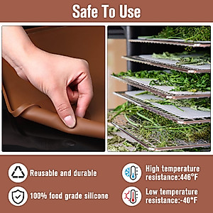 8 Pcs Silicone Dehydrator Mats 10 Pcs Mesh Screen Dehydrator Sheets Nonstick Reusable Fruit Dryer Trays for Jerky Fruit Herbs Flax Crackers Crust Tray