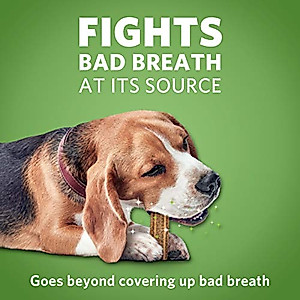 Purina DentaLife Dental Care Small/Medium Dog Chews, ActivFresh Daily Oral Care - 30 ct. Pouch