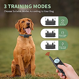 Dog Training Collar with Remote,3/4 Mile Range Dog Shock Collar,Waterproof and Rechargeable with Beep, Vibration, Safe Shock, Light and Keypad Lock Mode for Large Medium Small Dogs (X1 Grey)