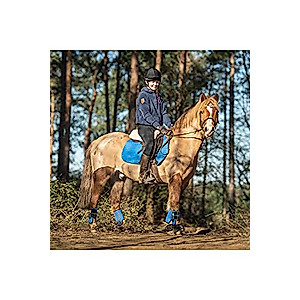 Equilibrium New Tri-Zone All Sports Tendon Boot X Large Royal Blue