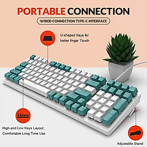 Ajazz K3 TKL Gaming Mechanical Keyboard-Wired Compact 10 Chroma RGB Backlit Computer Keyboard with Number Pad,98 Keys PC Gaming Keyboards with Clicky Blue Switch for Gamers/Mac/Win