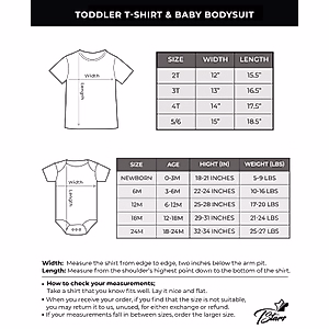 Big Bro Lil Bro Matching Outfits Baby Announcement Sibling Brother Shirts Big bro Gray 2T / Lil bro Gray/White NB (0-3M)