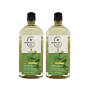 Bath and Body Works 2 Pack Aromatherapy Stress Relief Eucalyptus & Spearmint Shower Gel. 10 Oz.