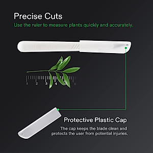 VIVOSUN #11 High-Carbon Steel Blades for Cutting Plants and Propagation