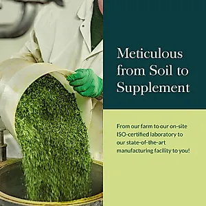 Gaia Herbs Adrenal Health Daily Support - with Ashwagandha, Holy Basil & Schisandra - Herbal Supplement to Help Maintain Healthy Energy and Stress Levels - 180 Liquid Phyto-Capsules (180 Count)