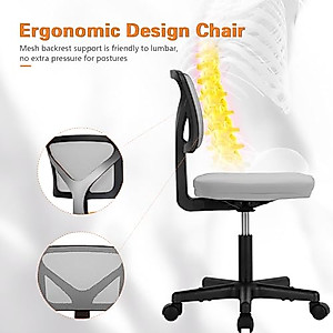 NEWBULIG Ergonomic Armless Home Office Desk Chair with Lumbar Support for Space Swivel 360° Wheels Adjustable Lever Rolling for Tiny Apartment,Conference Room, Grey