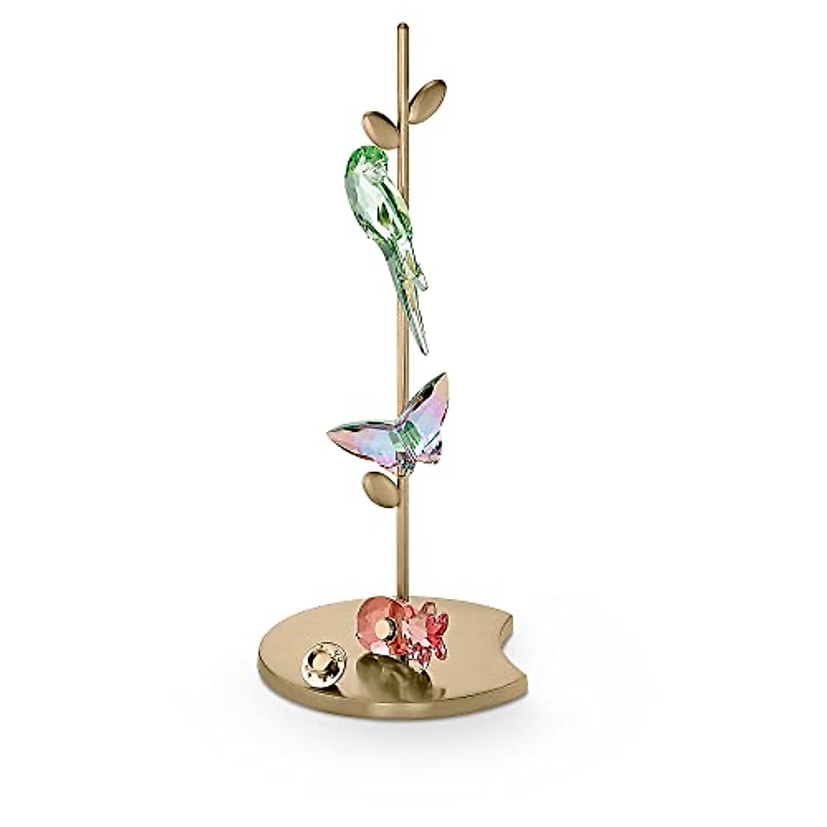 SWAROVSKI womens Brooch Magnet, ParRot Magnet - Small, One Size US