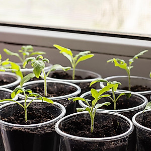 OUPSAUI 21 Pack 3.5/5/6 Inch Clear Nursery Pots for Plants, Clear Plant Pots with Drainage Holes, Flexible Plastic Nursery Pots Variety Pack, Seedling Planter Seed Starter Pots(3.5+5+6 Inch)