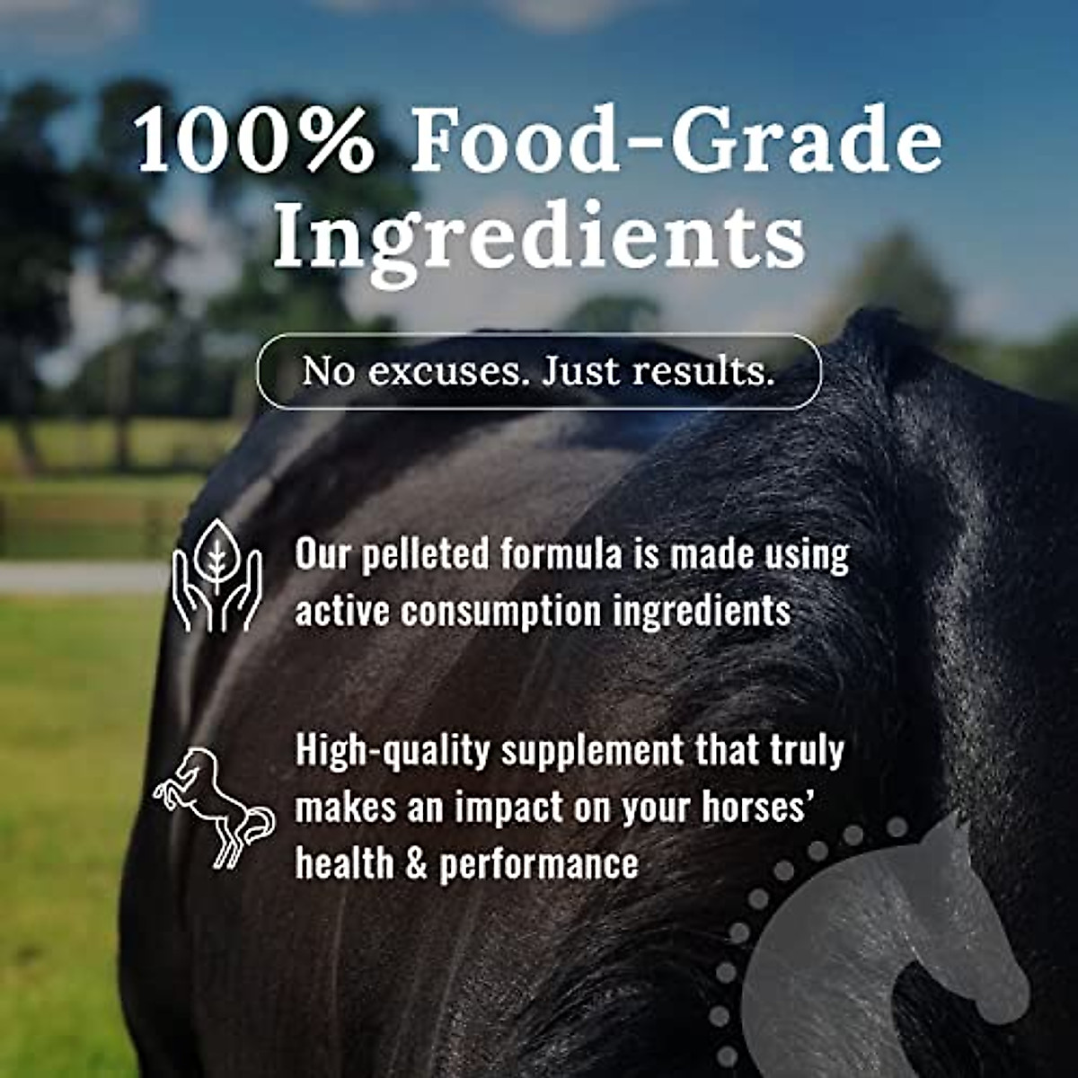 Mojo Joint Horse Supplements, Equine Food Grade Pelleted Supplement, All Natural Joint Care Supplement for Horses, 10 lbs