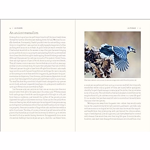 The Nature of Oaks: The Rich Ecology of Our Most Essential Native Trees