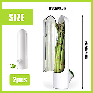 Cilantro Containers for Refrigerator, 2pcs Fresh Herb Keeper, Herb Saver Best Keeper for Freshest Produce, Clear Herb Storage Container Glass for 2-3 Weeks for Cilantro, Mint, Parsley, Asparagus