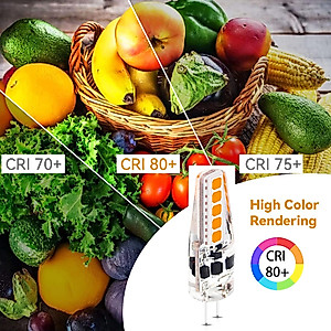 G4 LED Bulb 2W Equivalent to 20W-25W T3 JC Type Bi-Pin G4 Base Halogen Bulb, AC/DC 12V Warm White 3000K G4 Bulb for Under Cabinet Light,Ceiling Lights,RV, Boats,Outdoor Landscape Lighting (10Pack) ﻿…