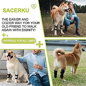 Dog Leg Brace for Font Rear Hock & Ankle, Canine Leg Joint Compression Wrap for Torn ACL & CCL, Dog Foot Injury and Sprain Protection, Wound Care and Loss of Stability from Arthritis 1pair (M)