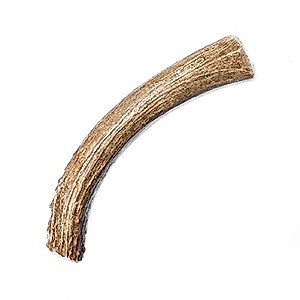 CZ Grain Large Grade A Deer Antlers for Dogs, Naturally Shed Deer Antlers, Organic Deer Antlers, All Natural Deer Antler Chews, Naturally Shed in The USA - Deer Antlers for Dogs (Size: Large)