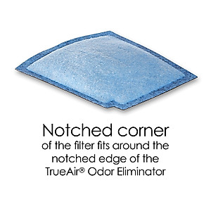 Hamilton Beach TrueAir Replacement Carbon Filter for Odor Eliminators, Neutralizes Pet Smells, 1-Pack (04294G), 1 Count (Pack of 1)