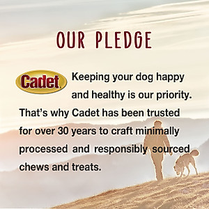 Cadet Premium Grade Beef Hide for Dogs, Long Lasting Rawhide Knotted Bones Single Ingredient Dog Chews, 4"-5" Dog Bones, 1 Pound