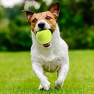 JY CLASSIC Tennis Balls, 3,12 Pack Training Tennis Balls Practice Balls, Pet Dog Playing Balls, Come with Mesh Bag for Pet Toys (3pcs Balls, Yellow)