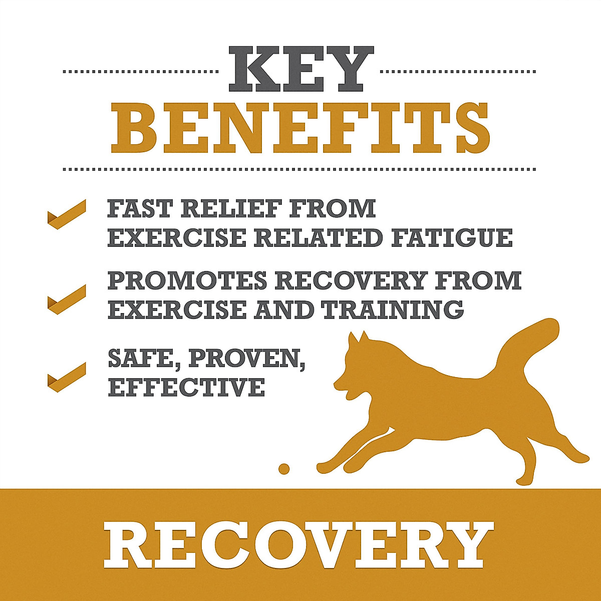 WINPRO Recovery Chews for Dogs, Plasma-Powered for Active Dogs, Immune System Support, and Dog Training Support for Competition and Sport Muscle Recovery and Agility, 60 Count, Made in USA