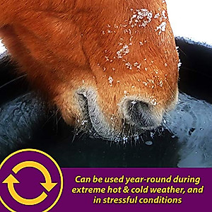 Horse Health Apple-Dex Apple Flavored Electrolytes for Horses, Replaces minerals lost during exercise, under stress or extreme weather conditions, 5 pound